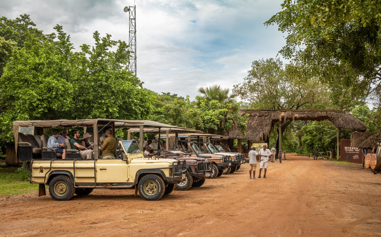 Tanzania Safari 2026: How a Global Award Set a New Standard for ...